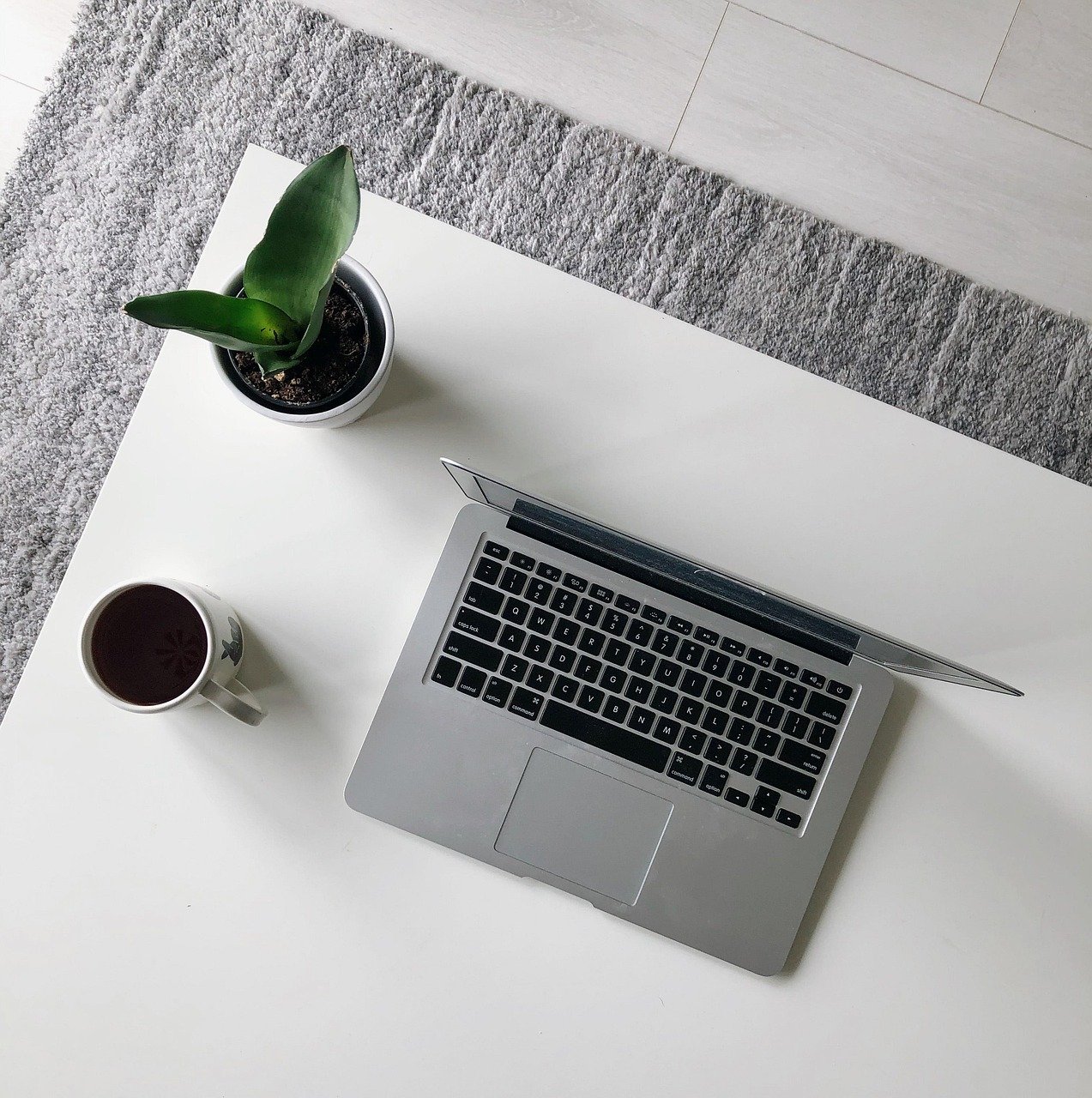 Pourquoi le blog est le meilleur espace de débat en 2025 ? 📝💬